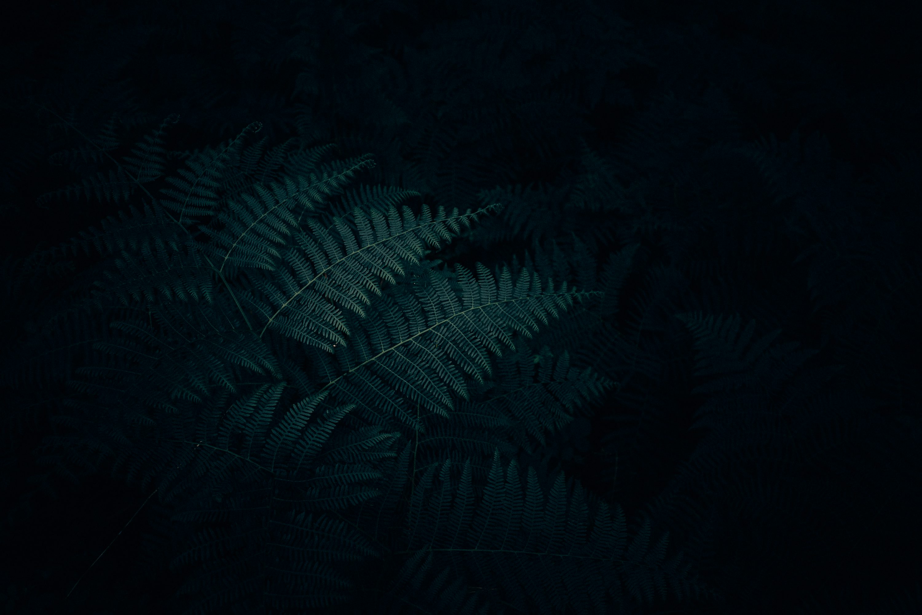 Simple Dark Desktop Wallpapers - Wallpaper Cave