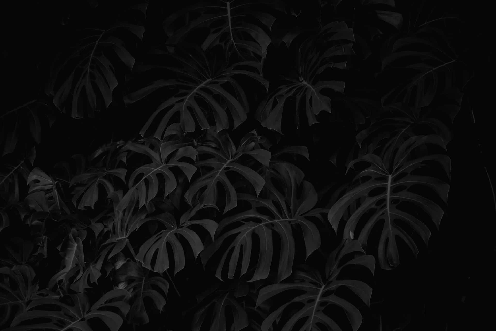 Simple Dark Desktop Wallpapers - Wallpaper Cave
