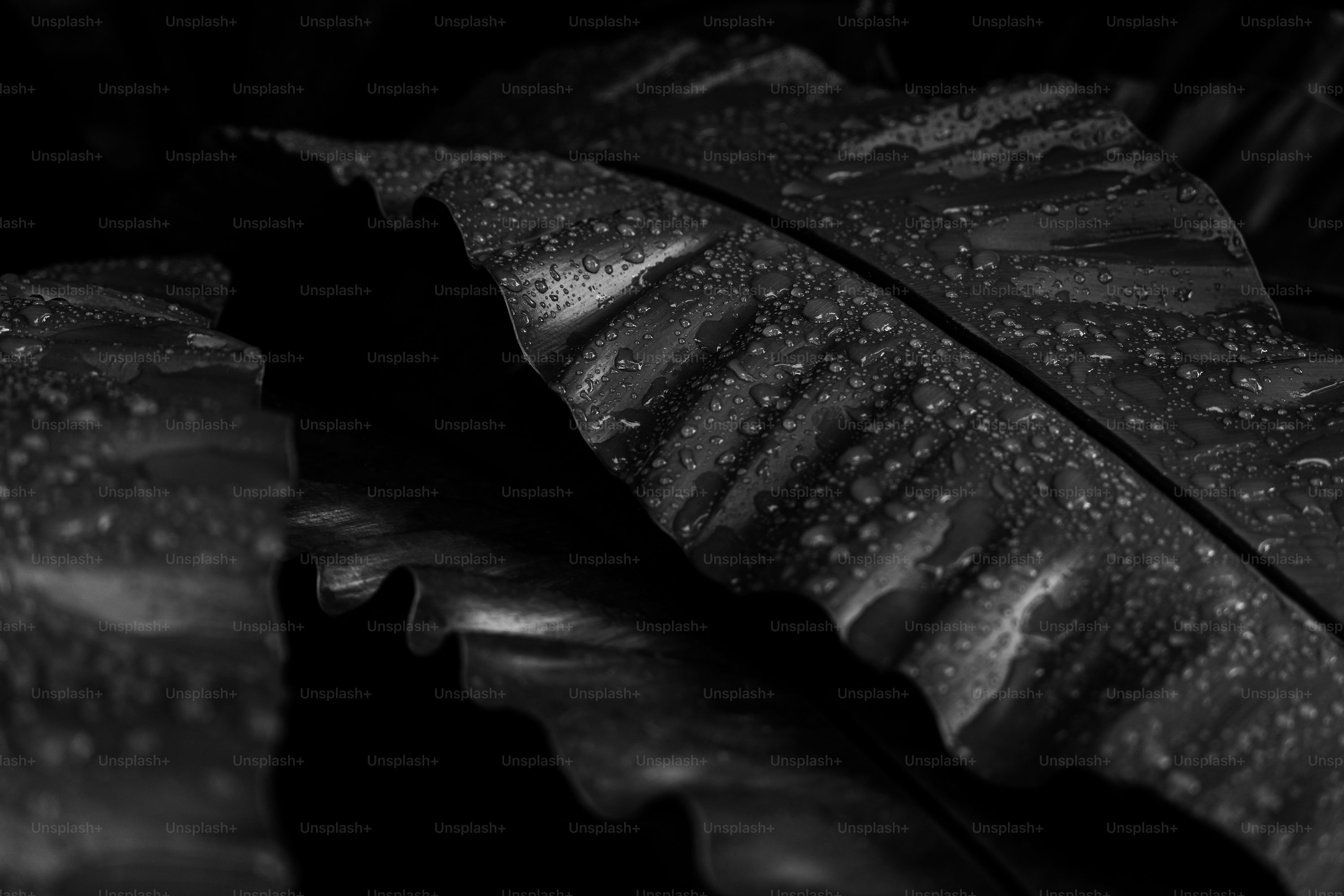 Simple Dark Desktop Wallpapers - Wallpaper Cave