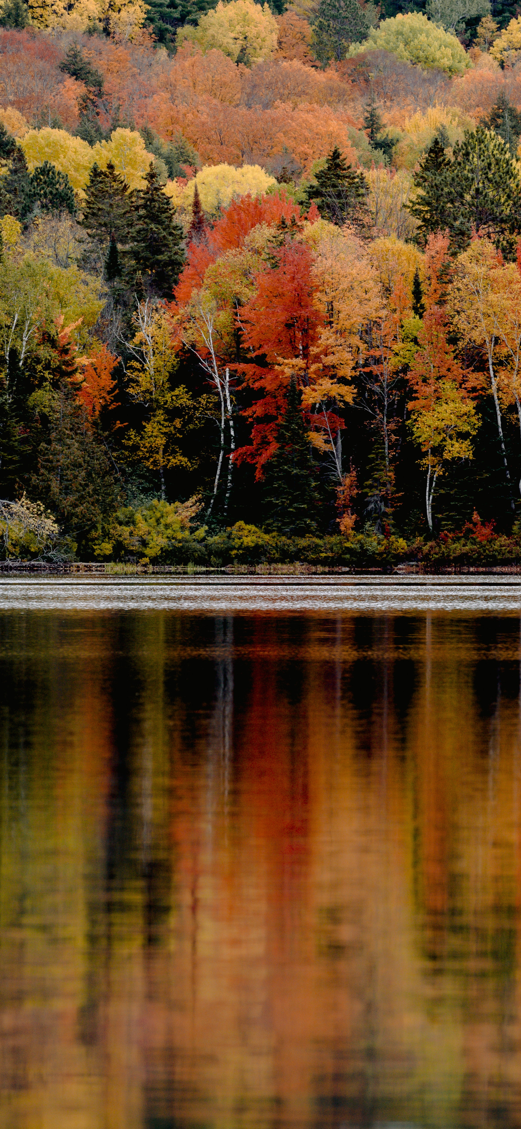 Autumn Aesthetic Mobile Wallpapers - Wallpaper Cave