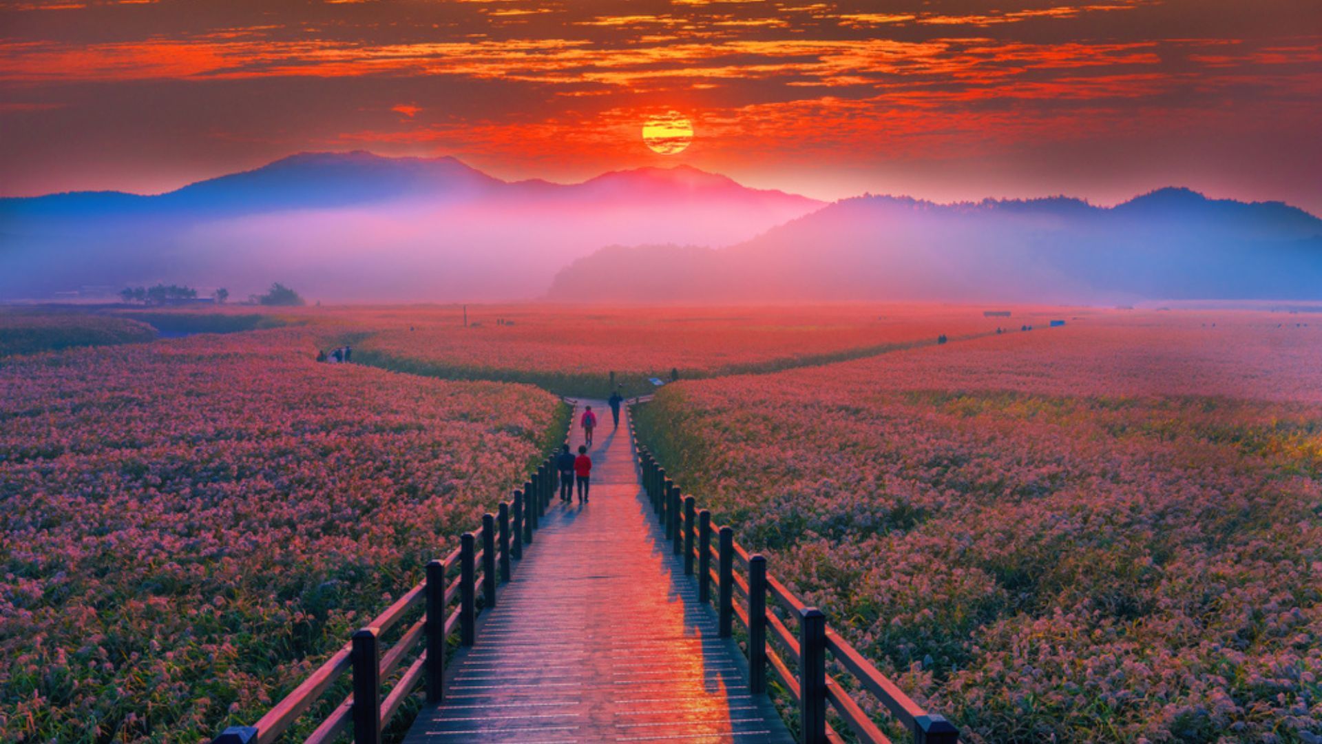 South Korea Landscape Wallpapers - Wallpaper Cave