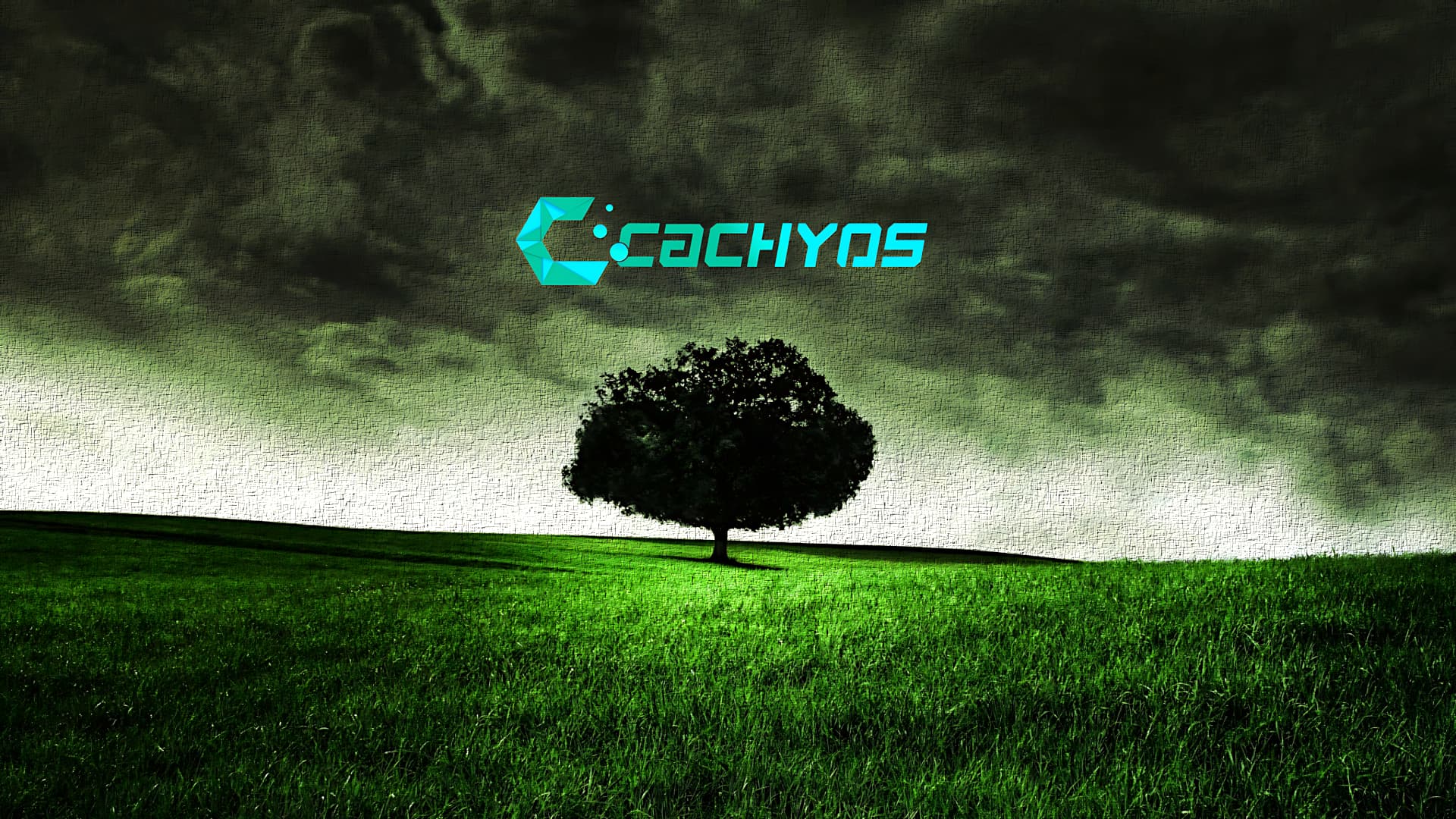 CachyOS Wallpapers - Wallpaper Cave