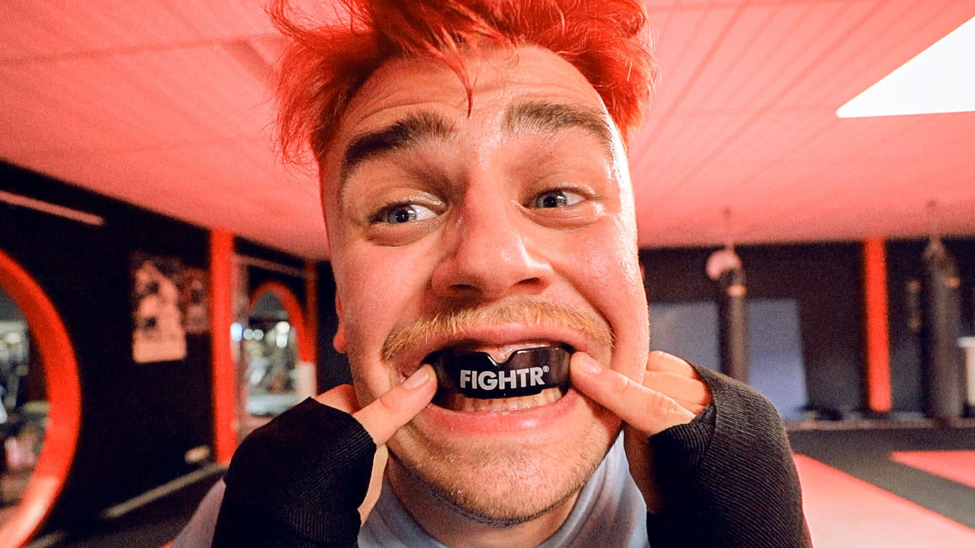 Papaplatte Wallpapers - Wallpaper Cave