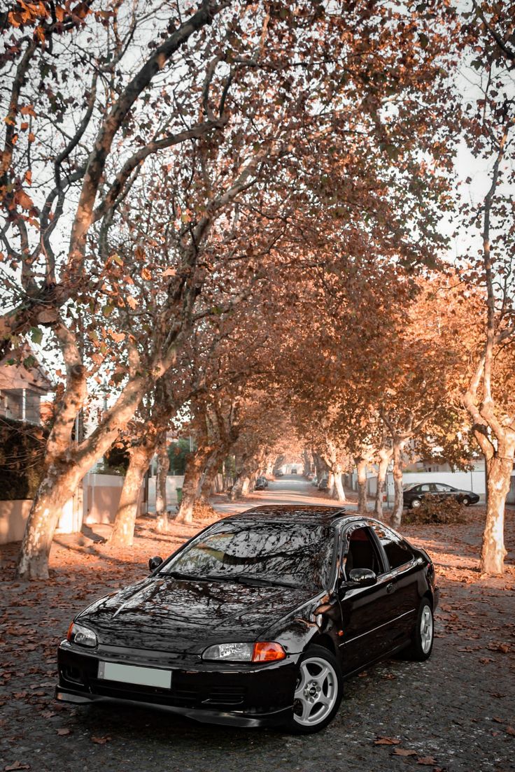 Honda Civic EJ1 Wallpapers - Wallpaper Cave