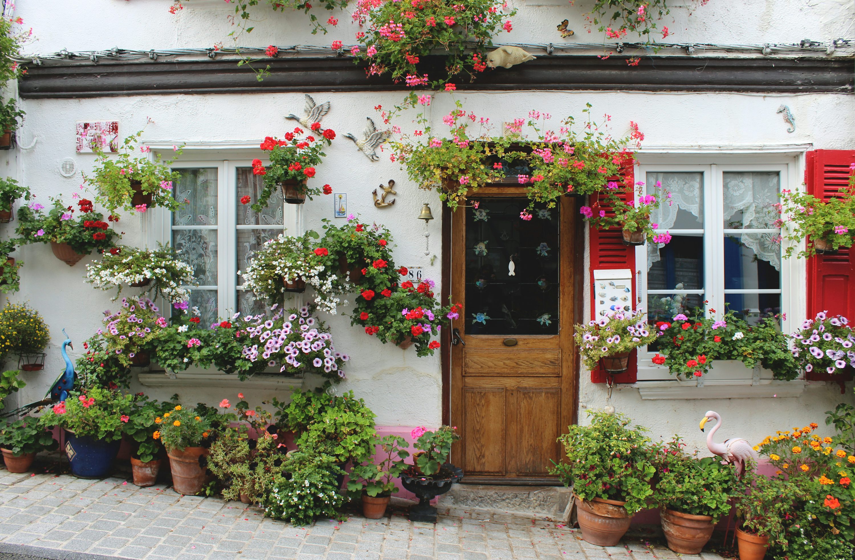 Flower House Wallpapers - Wallpaper Cave