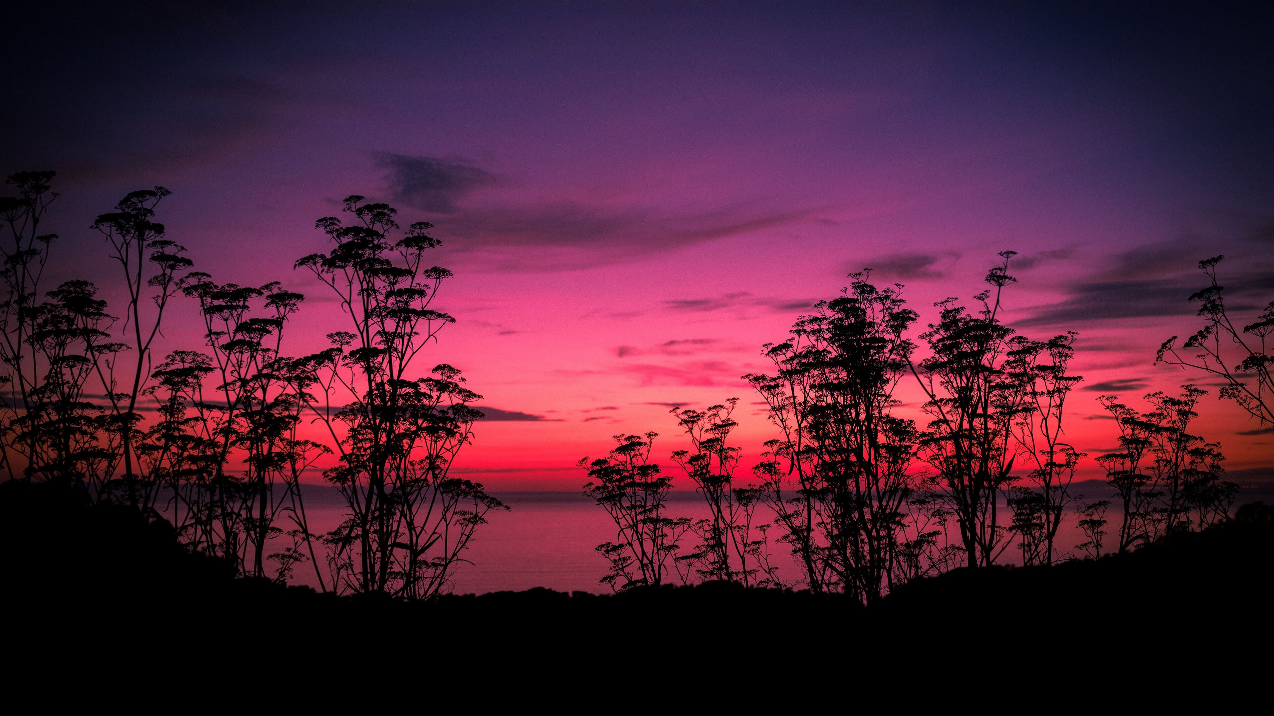 Pink Sunset Desktop Wallpapers - Wallpaper Cave