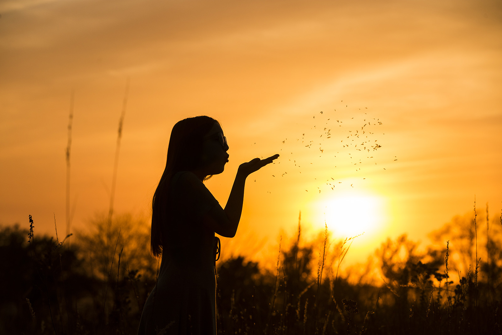 Real Sunset Wallpapers - Wallpaper Cave