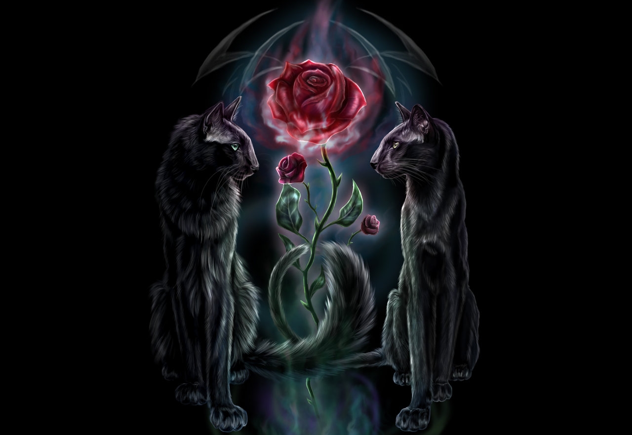 Anne Stokes Desktop Wallpapers - Wallpaper Cave