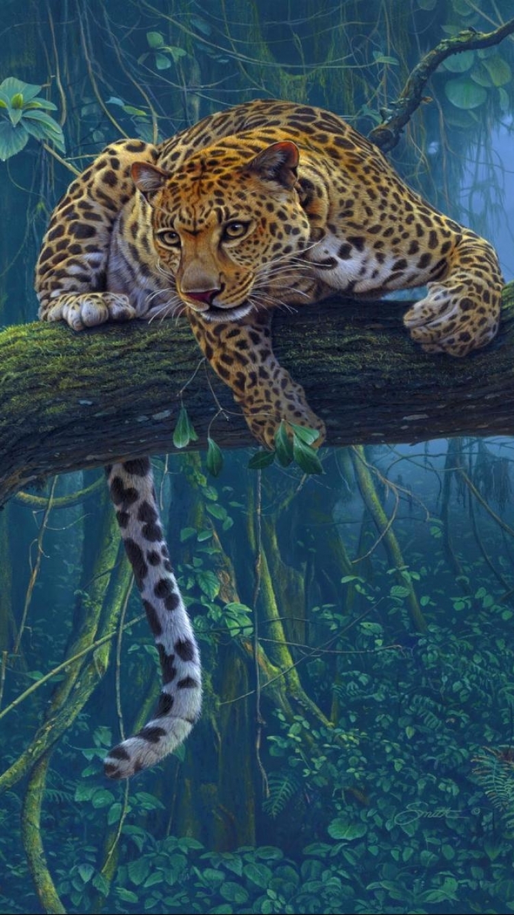 Leopard Mobile Wallpapers - Wallpaper Cave