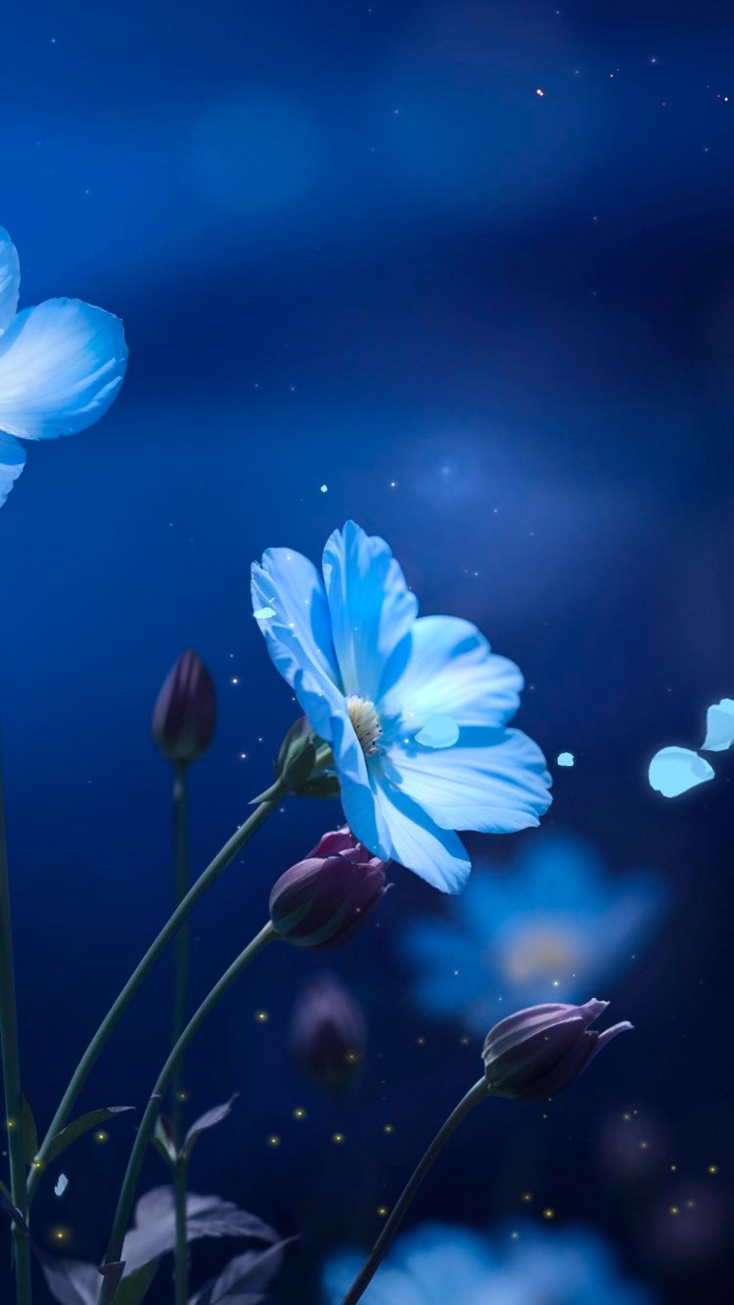 Blue Flowers Phone Wallpapers - Wallpaper Cave