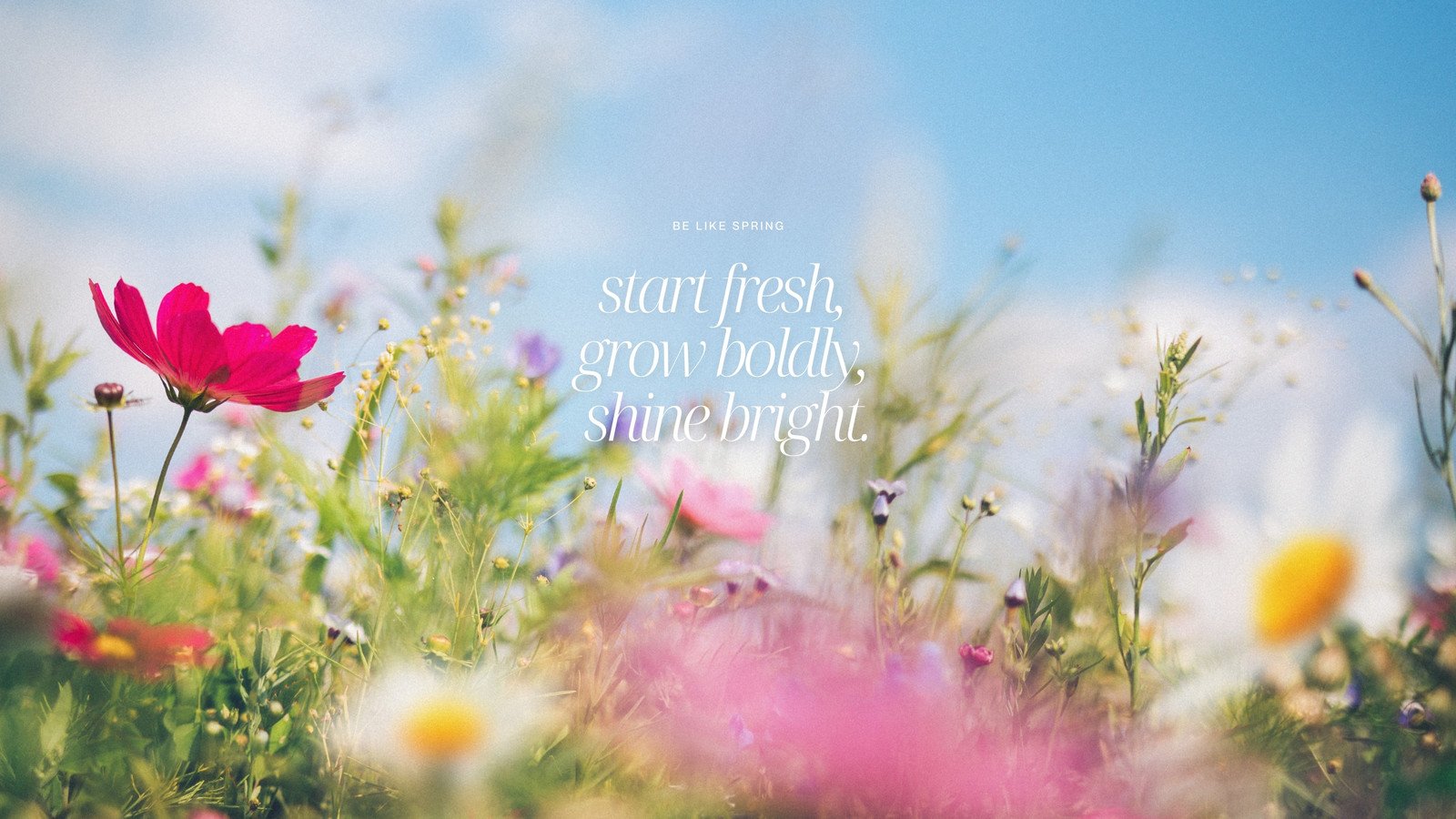 Elegant Spring Wallpapers - Wallpaper Cave