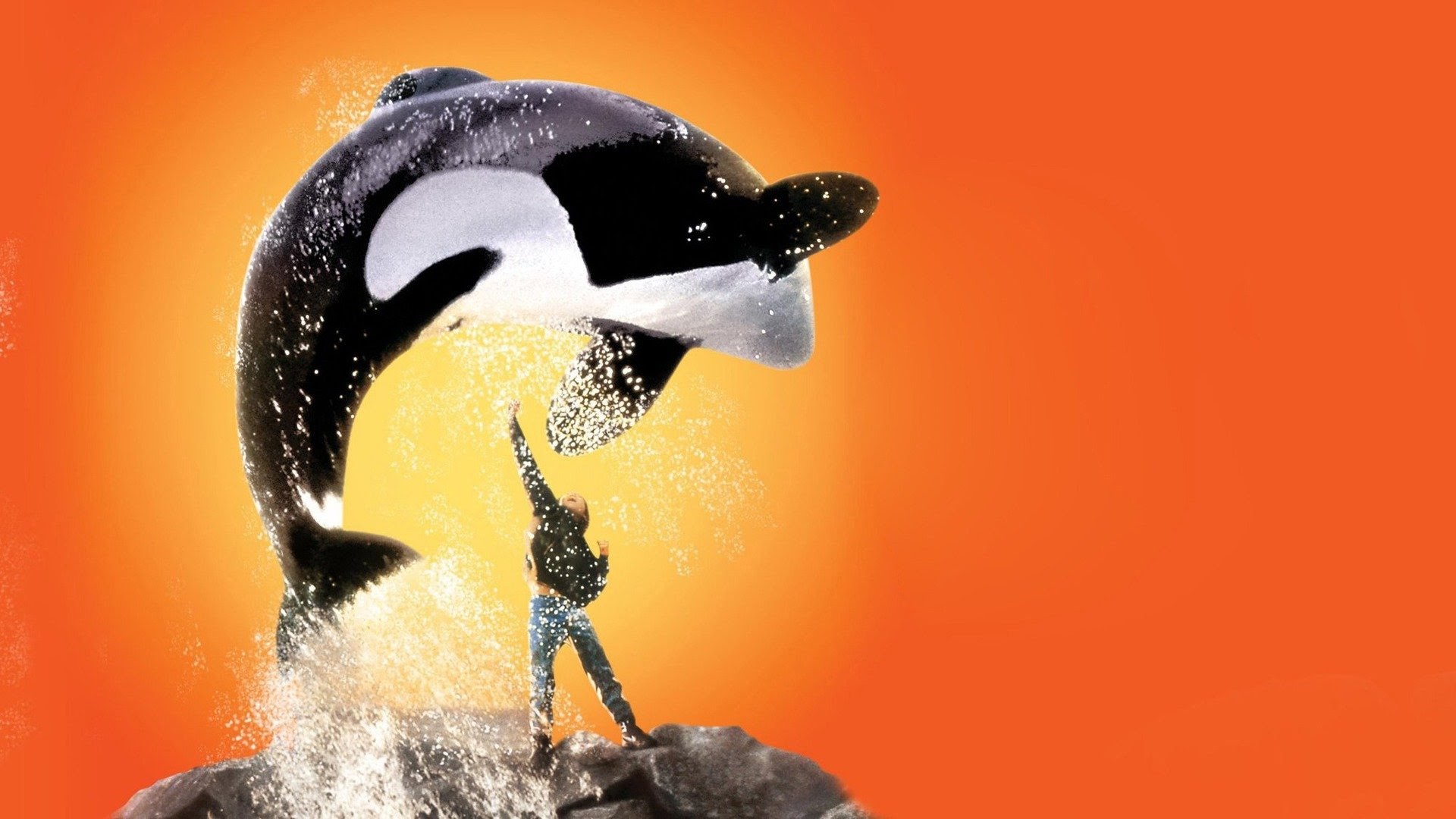 Free Willy Wallpapers - Wallpaper Cave