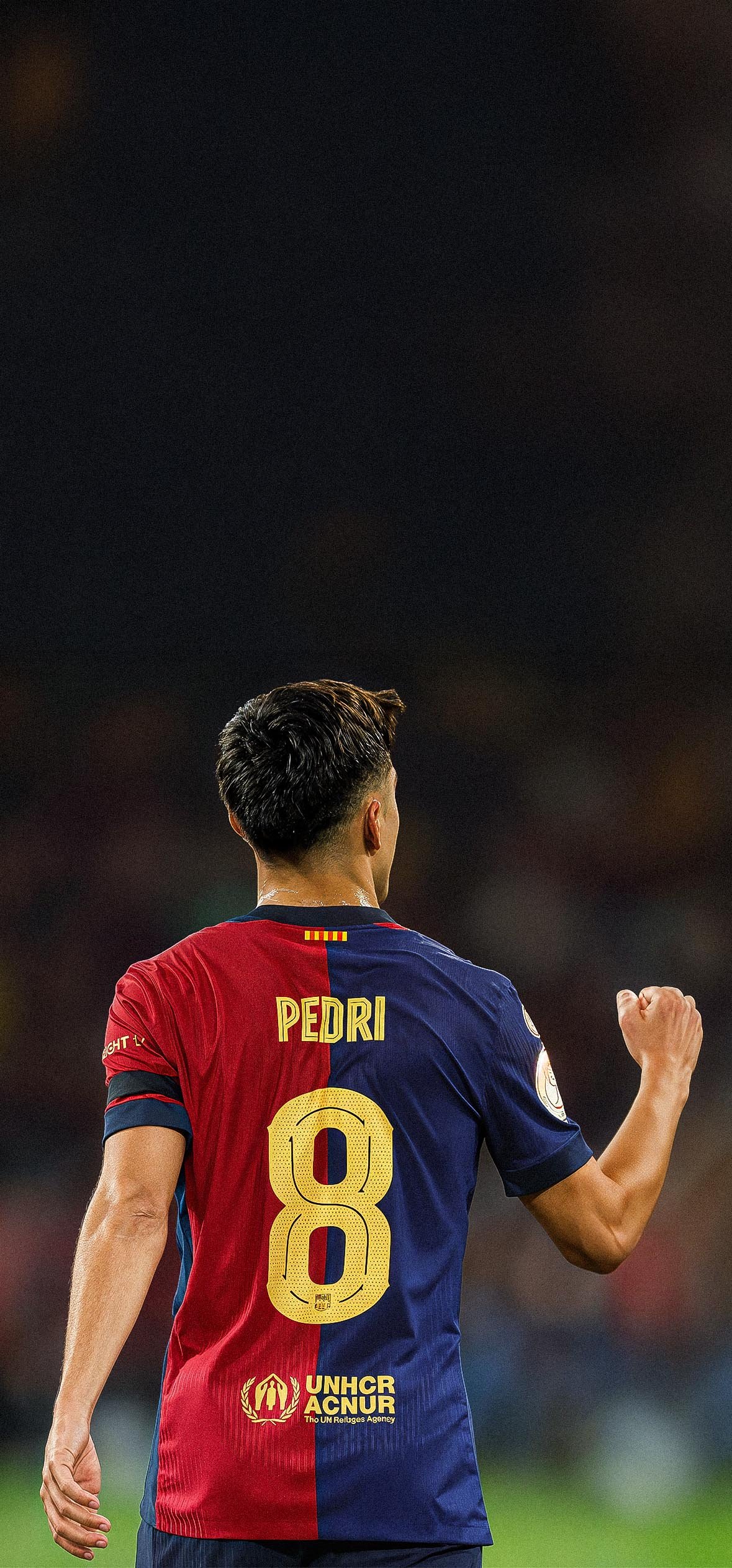 Pedri 2025 Wallpapers - Wallpaper Cave