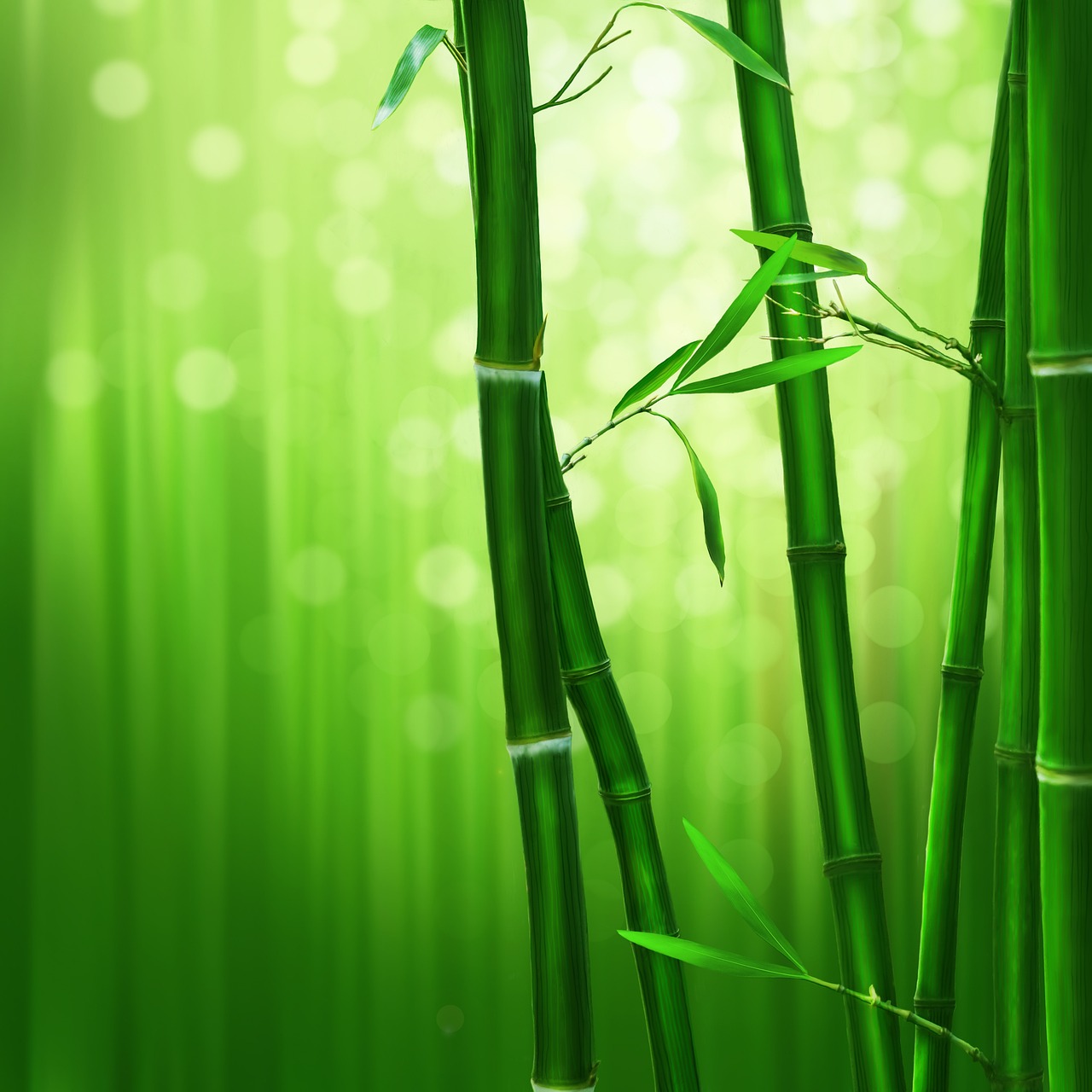 Bamboo Trees Wallpapers - Wallpaper Cave