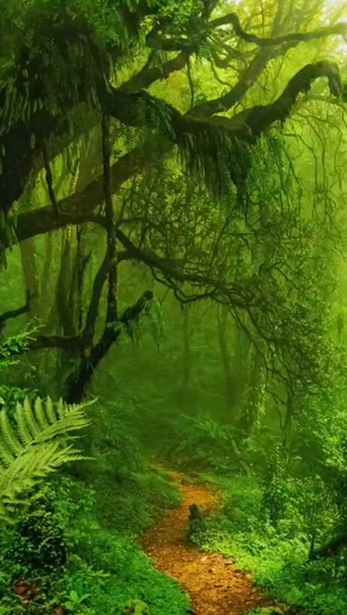 Cute Forest Green Wallpapers - Wallpaper Cave