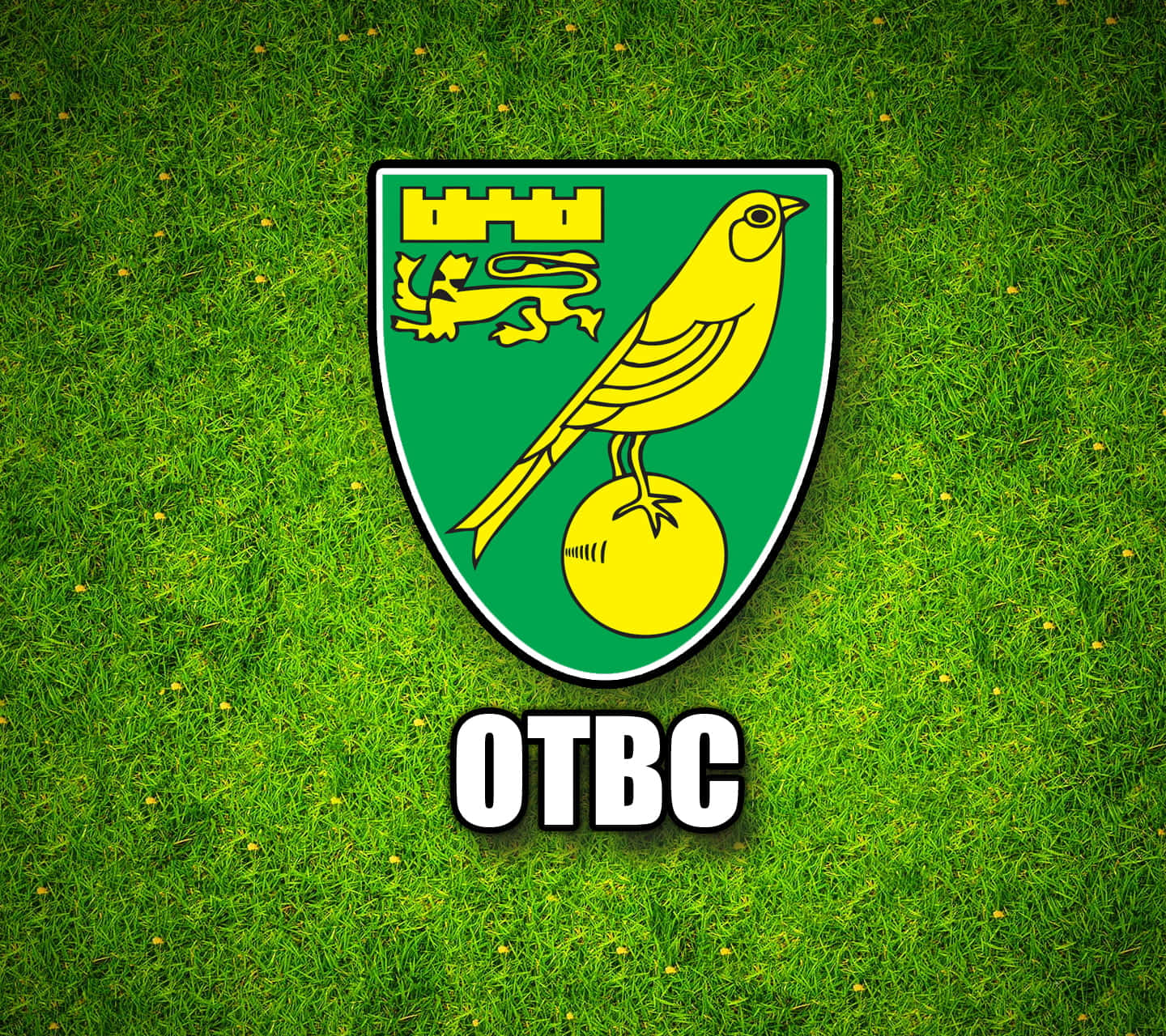 Norwich City Desktop Wallpapers - Wallpaper Cave