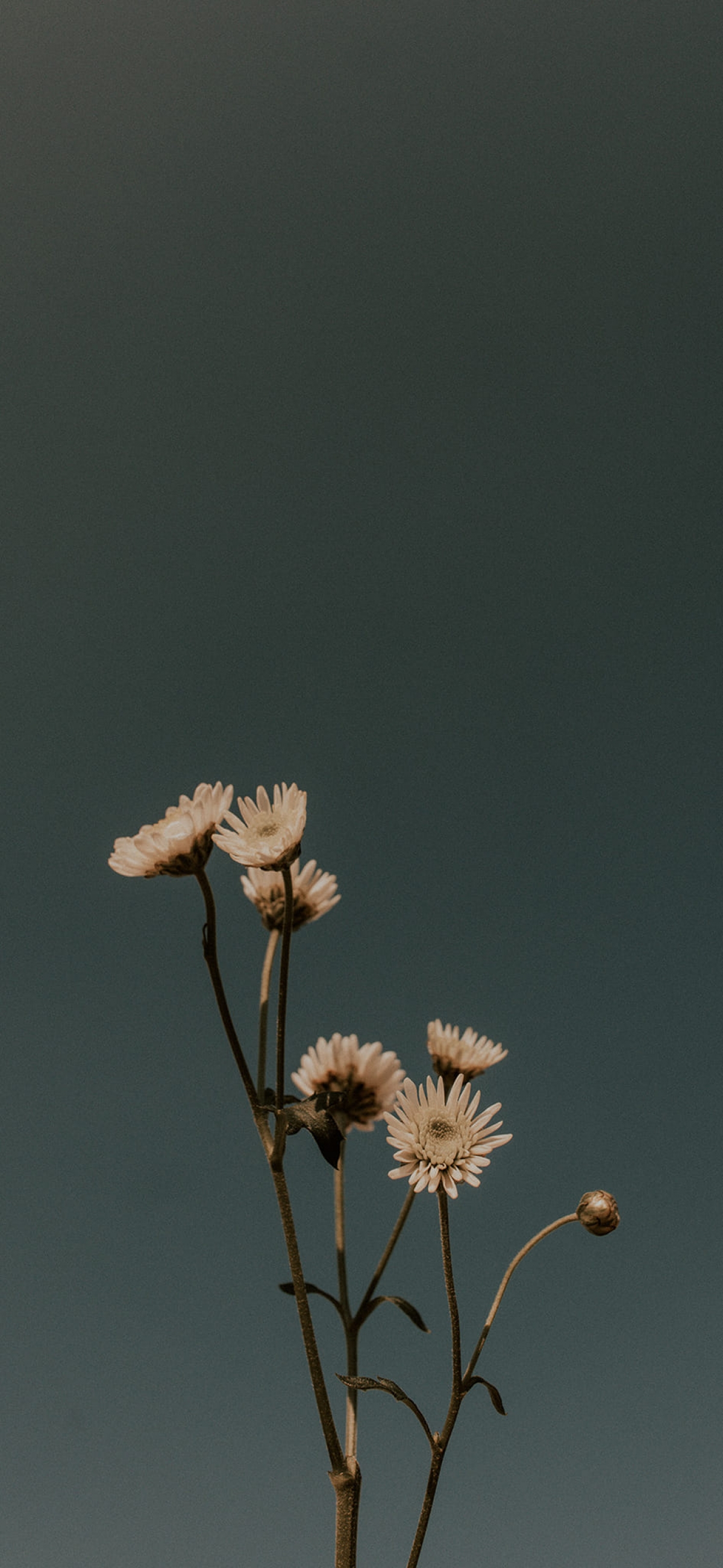 Dark Sad Wallpapers - Wallpaper Cave