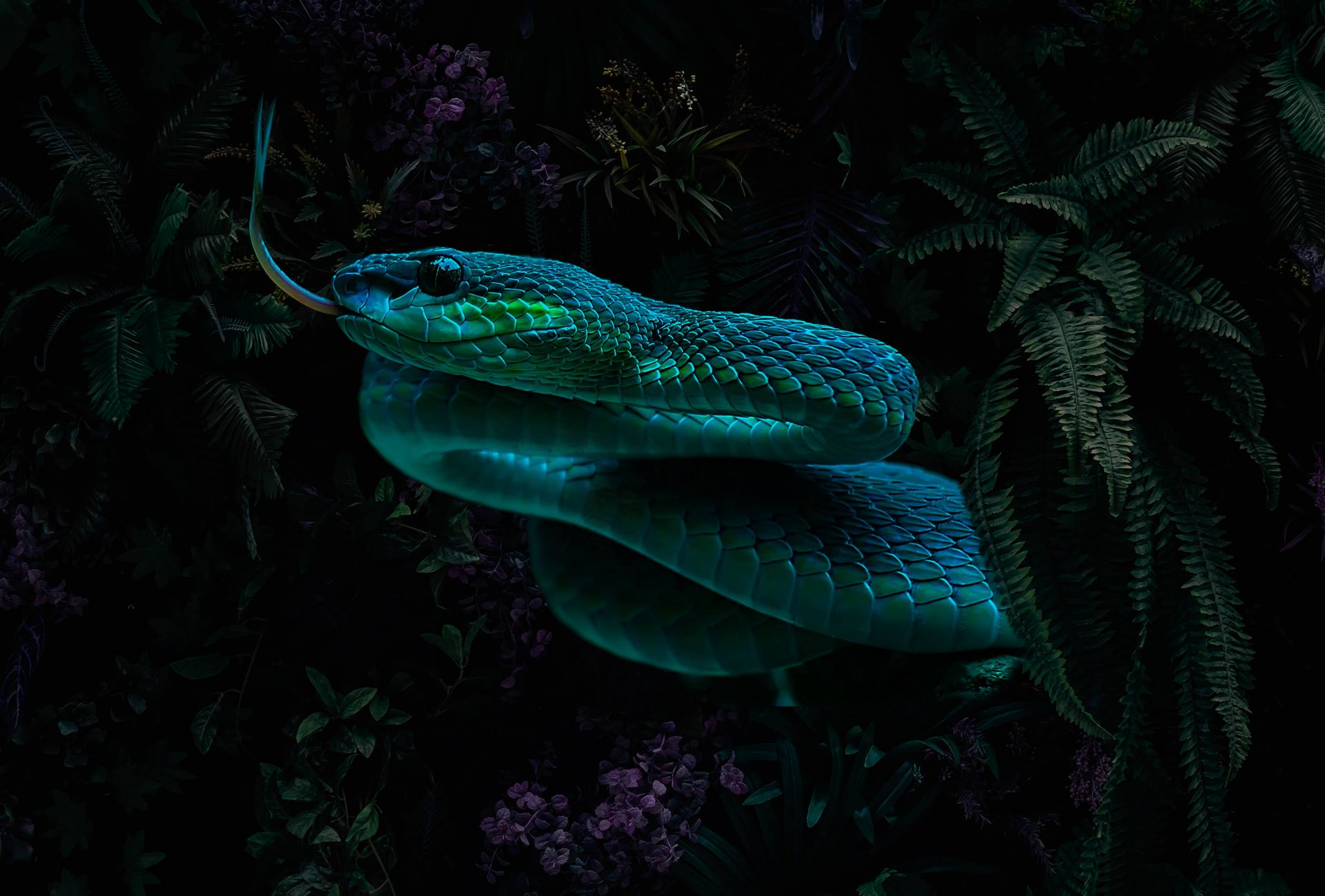 Realistic Snakes Wallpapers - Wallpaper Cave