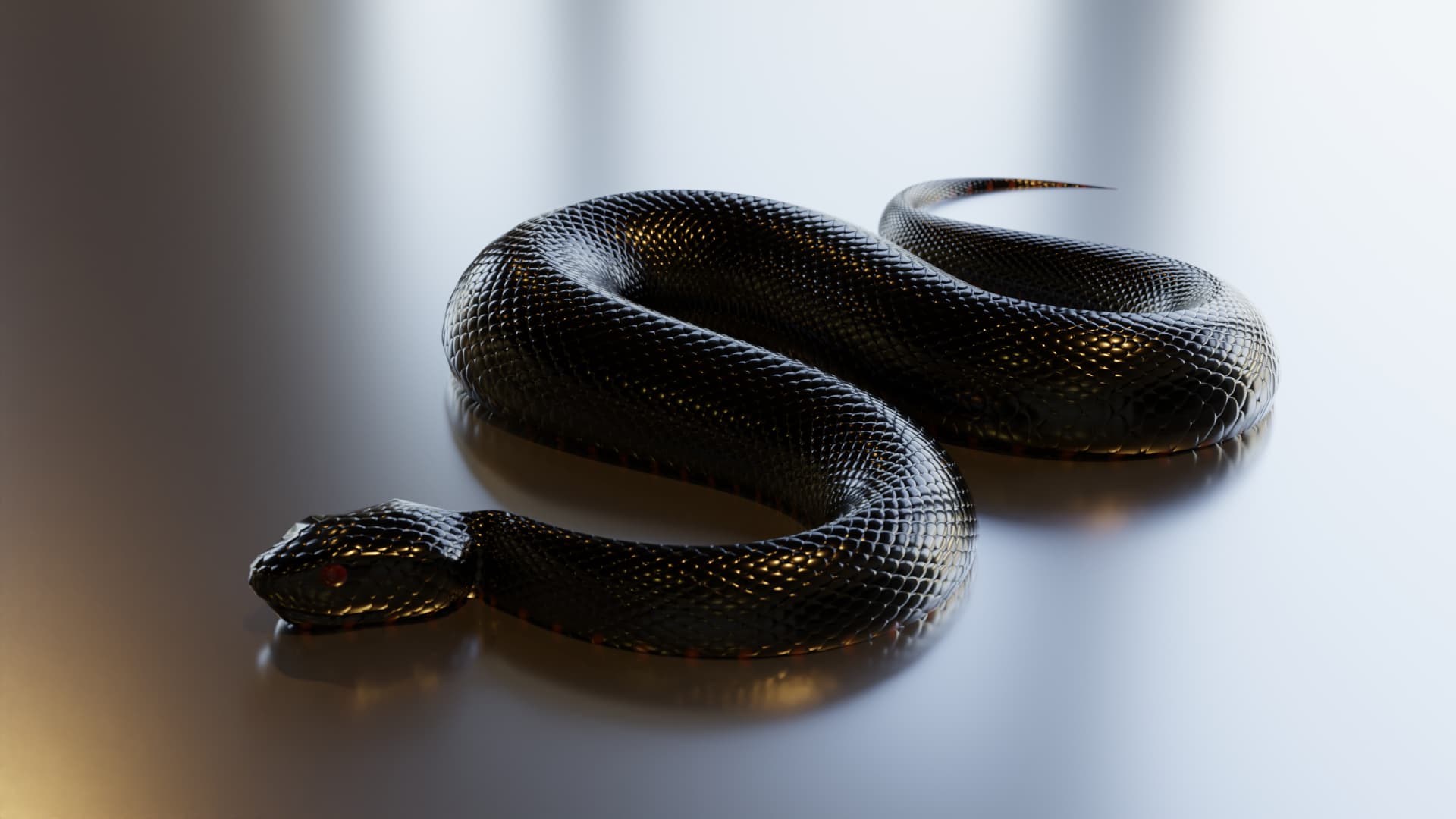 Realistic Snakes Wallpapers - Wallpaper Cave