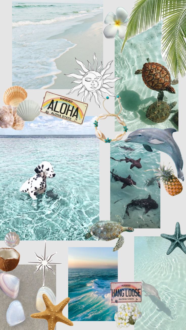 Preppy Hawaii Wallpapers - Wallpaper Cave