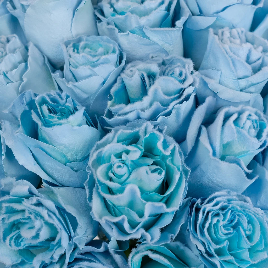 Baby Blue Flowers Wallpapers - Wallpaper Cave