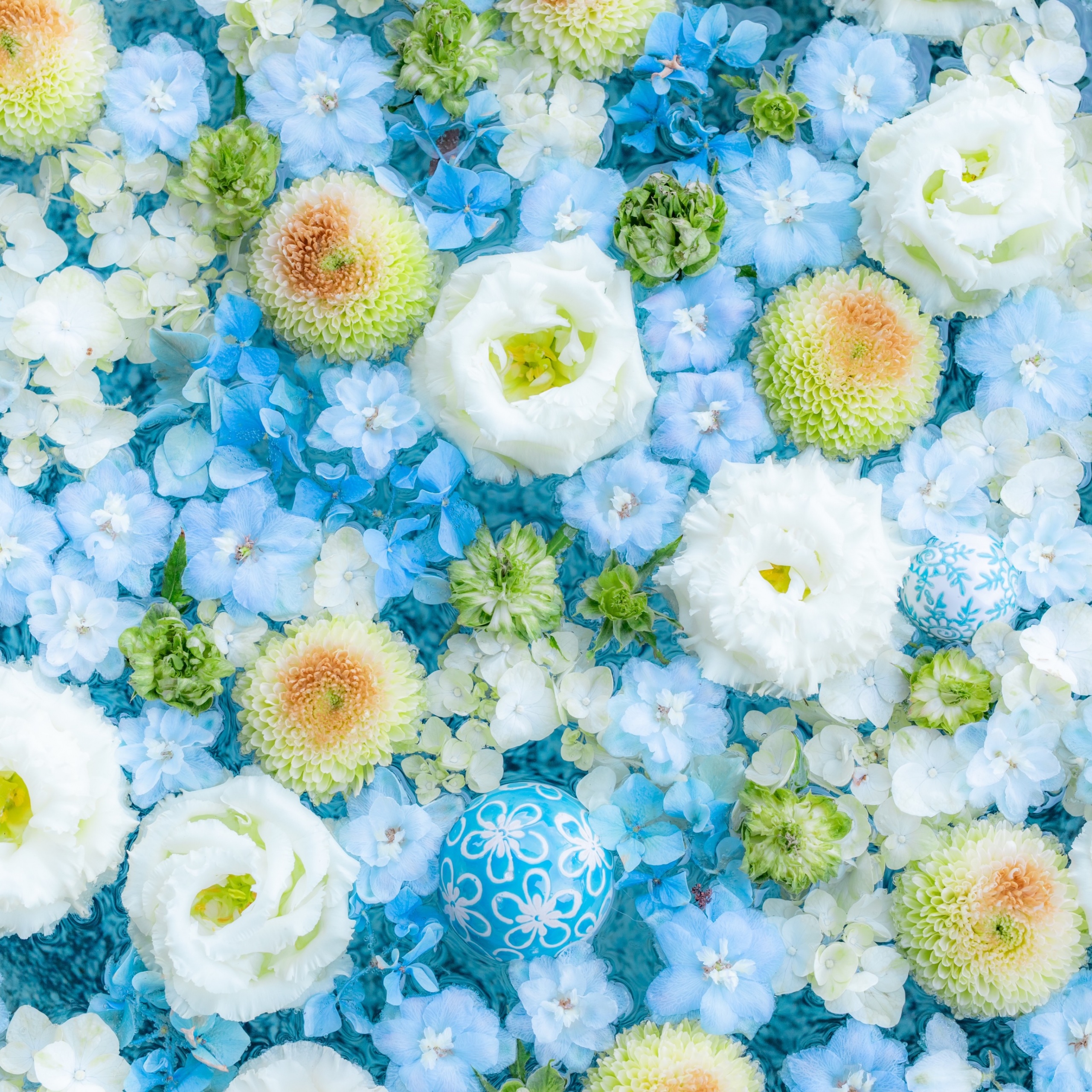 Baby Blue Flowers Wallpapers - Wallpaper Cave