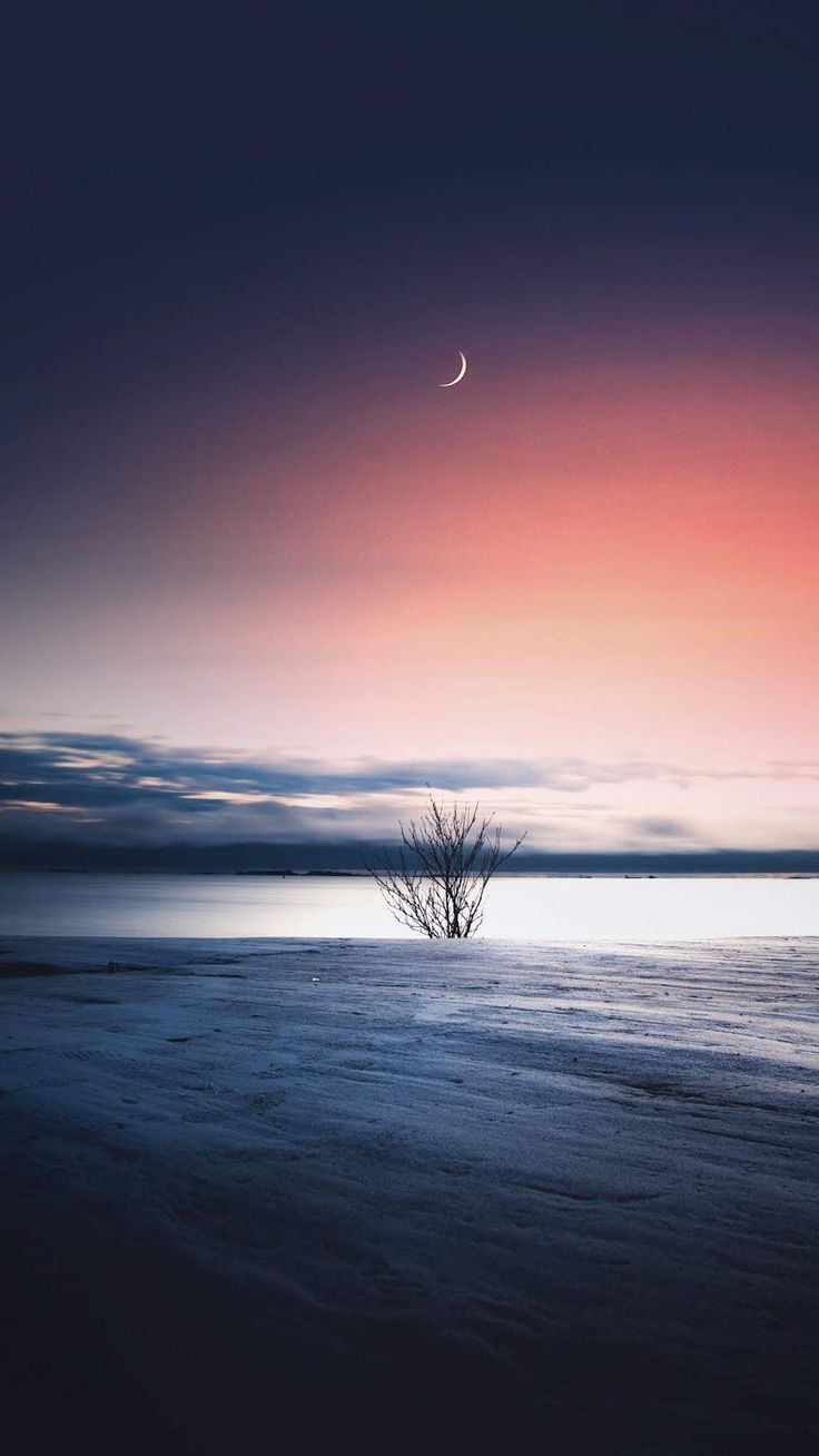 Moon Sunset Wallpapers - Wallpaper Cave