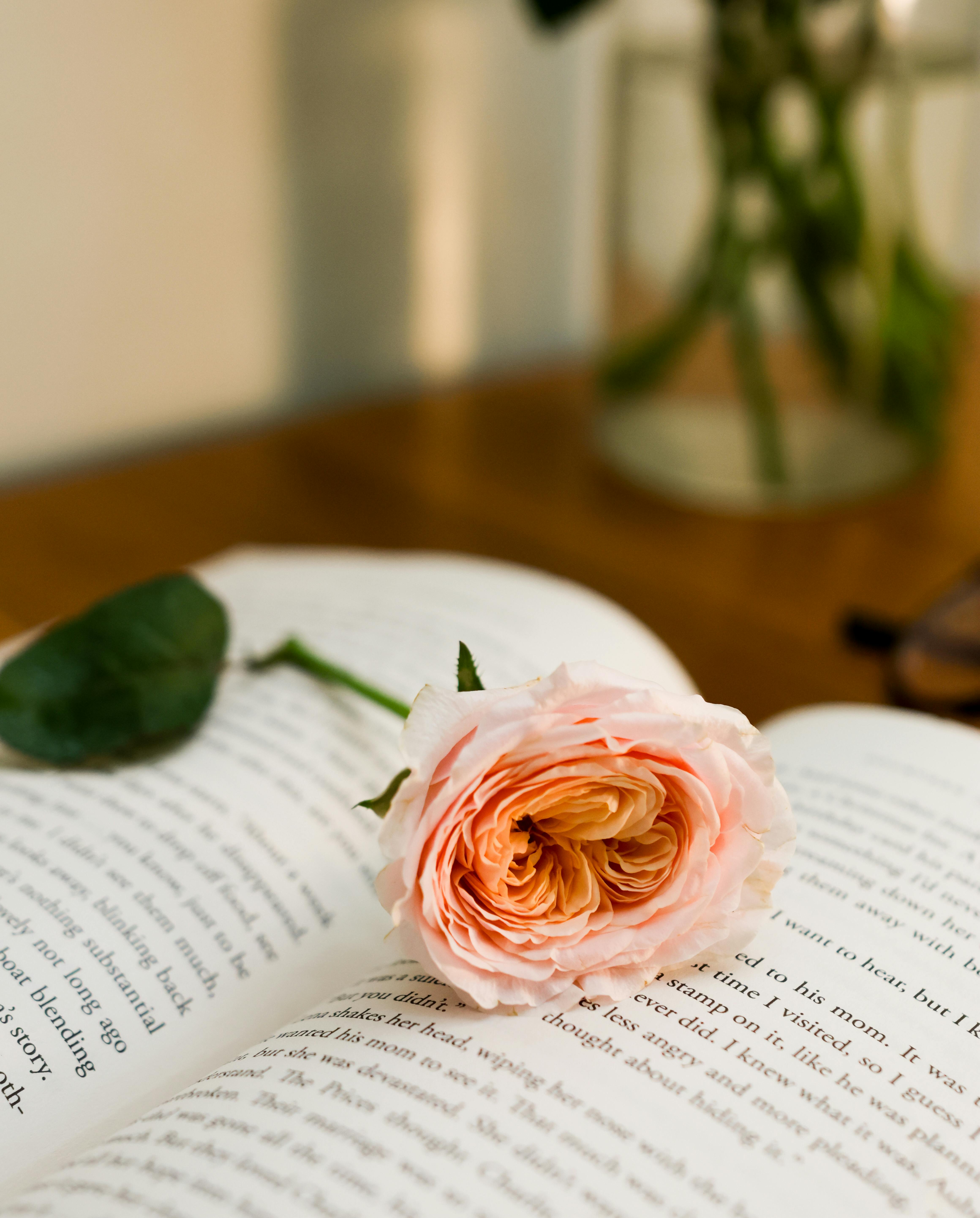 Roses On Books Wallpapers - Wallpaper Cave