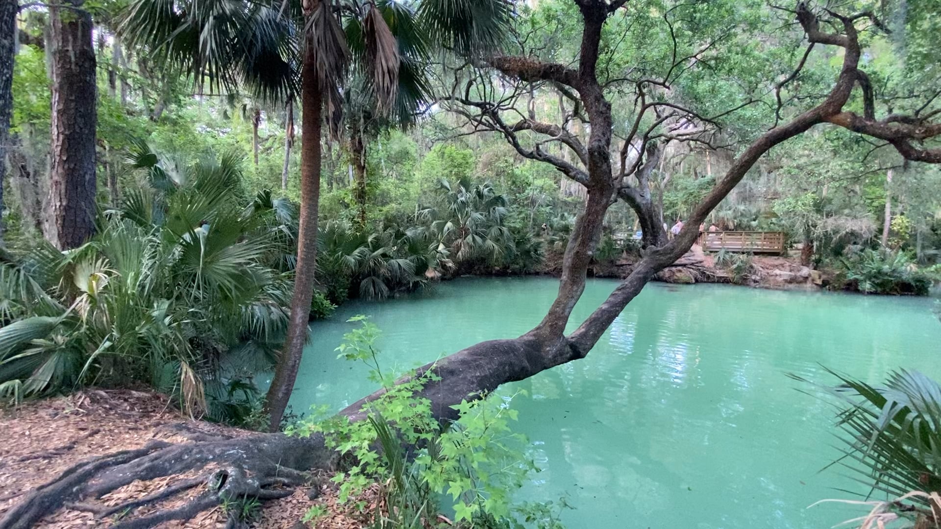 Jade Spring Park Wallpapers Wallpaper Cave