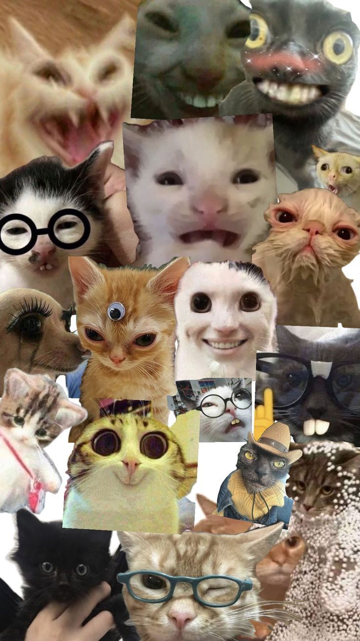 Meme Collage Wallpapers - Wallpaper Cave