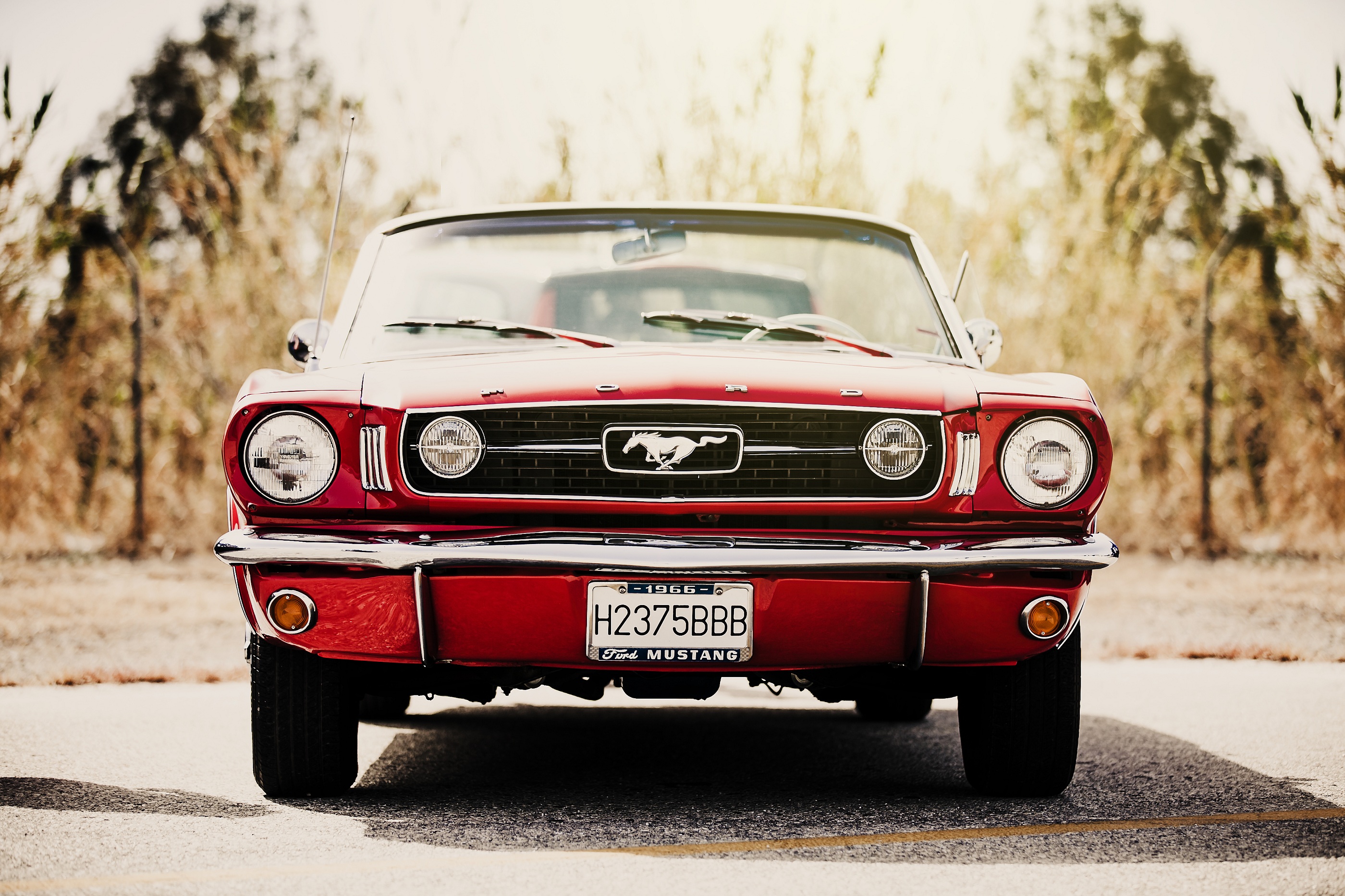 Ford Mustang 1964 Wallpapers - Wallpaper Cave