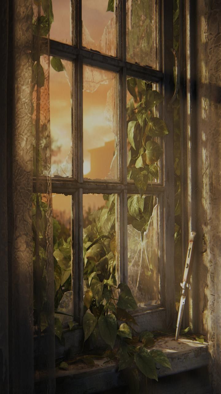 The Last Of Us Window Wallpapers - Wallpaper Cave