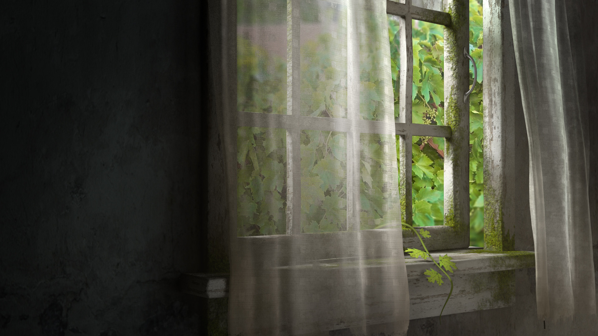 The Last Of Us Window Wallpapers - Wallpaper Cave