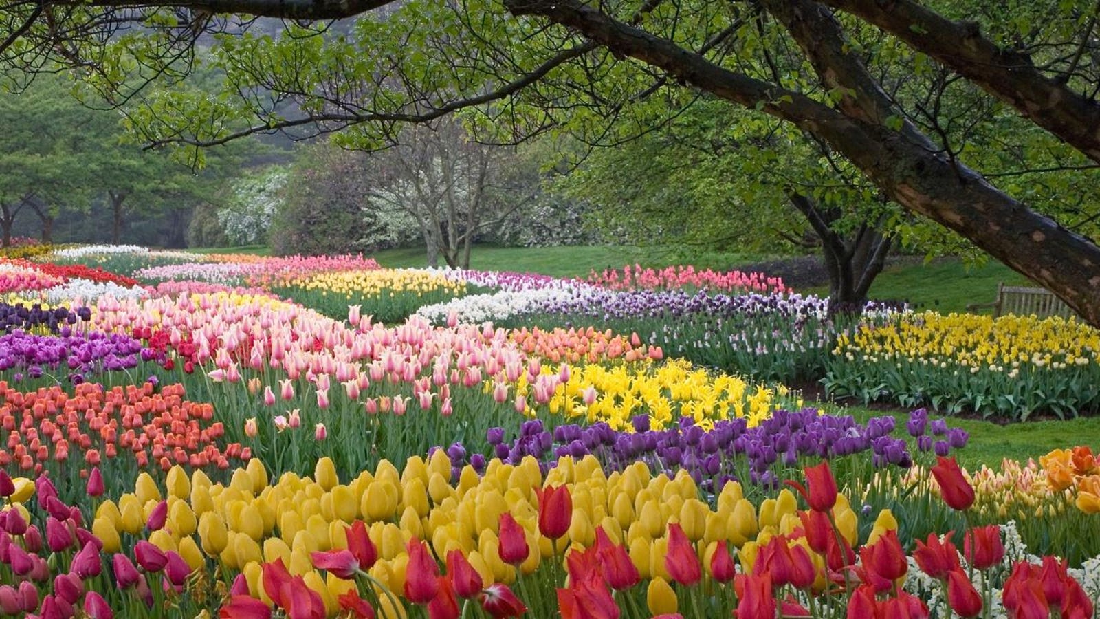 1600x900 Spring Garden Wallpapers - Wallpaper Cave