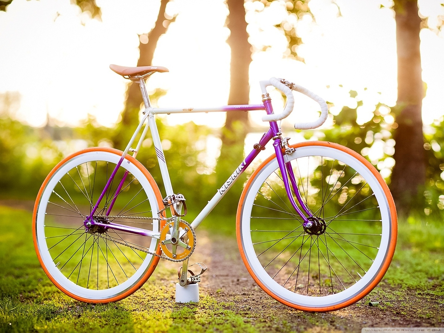 Bicycle Spring PC Wallpapers - Wallpaper Cave