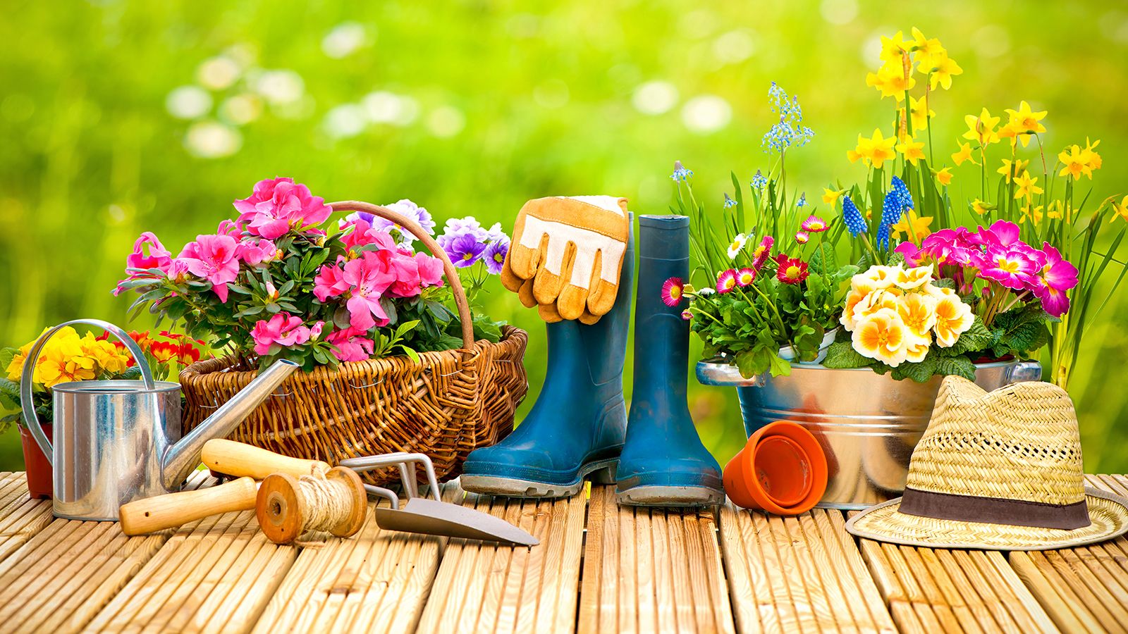 1600x900 Spring Garden Wallpapers - Wallpaper Cave