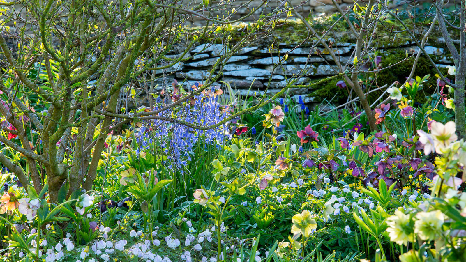 1600x900 Spring Garden Wallpapers - Wallpaper Cave