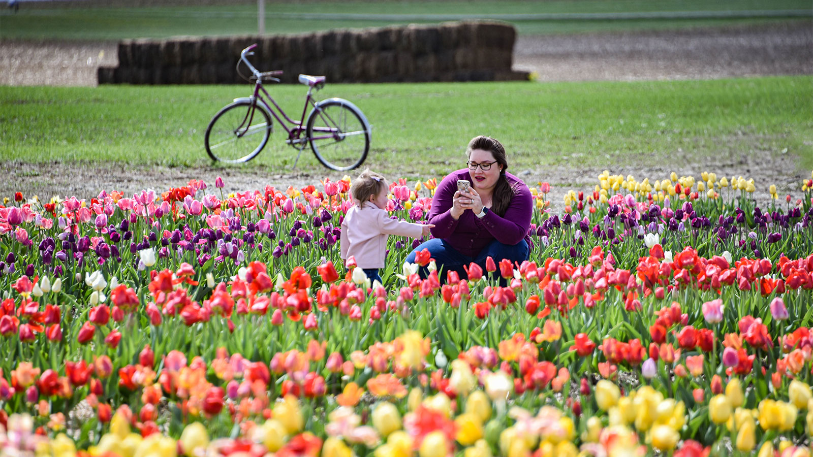 1600x900 Spring Garden Wallpapers - Wallpaper Cave