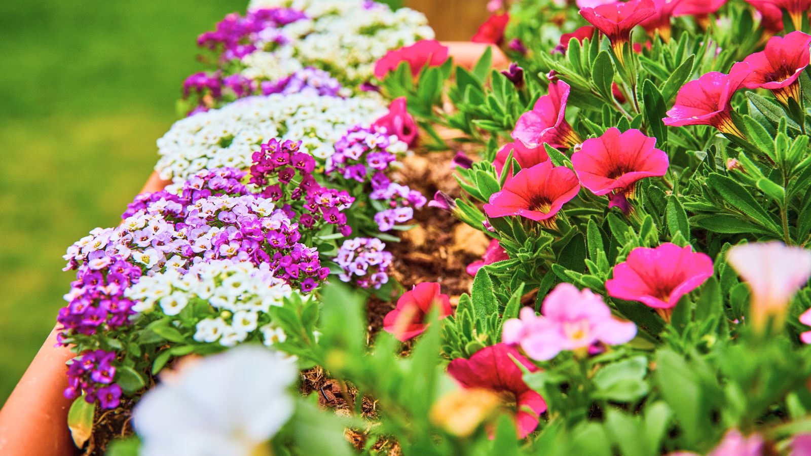 1600x900 Spring Garden Wallpapers - Wallpaper Cave