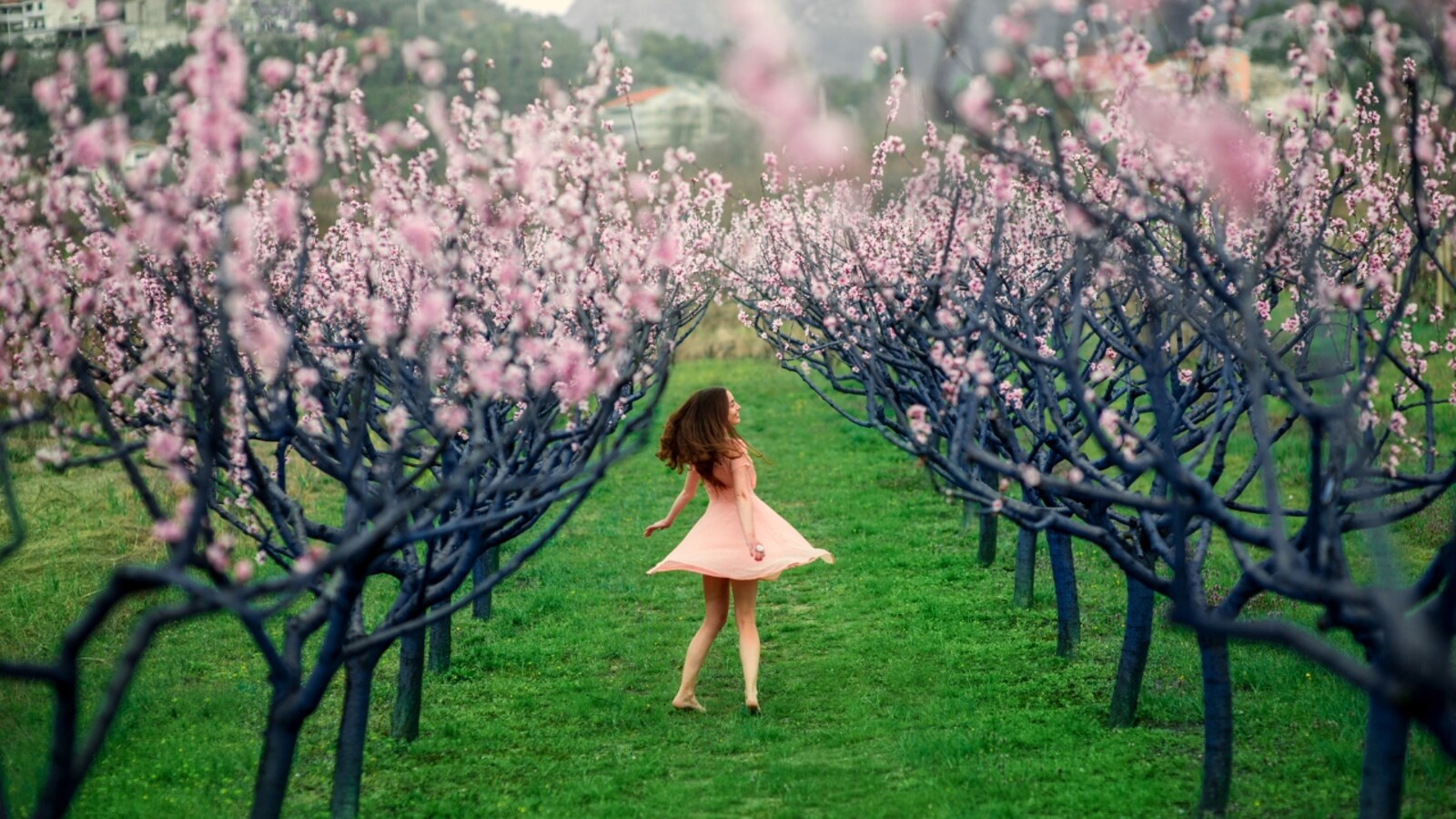 1600x900 Spring Garden Wallpapers - Wallpaper Cave