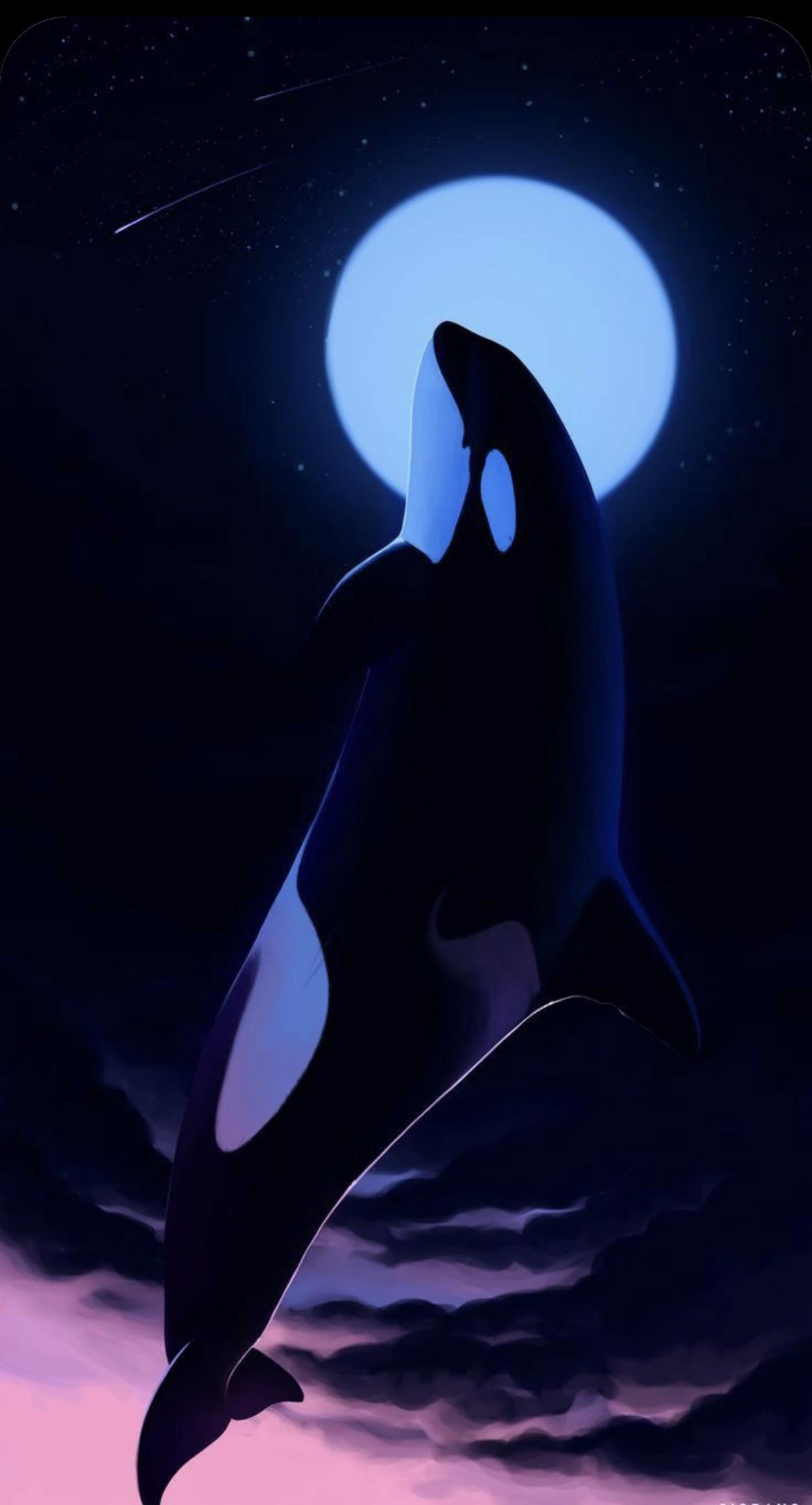 Orca The Killer Whale Wallpapers - Wallpaper Cave