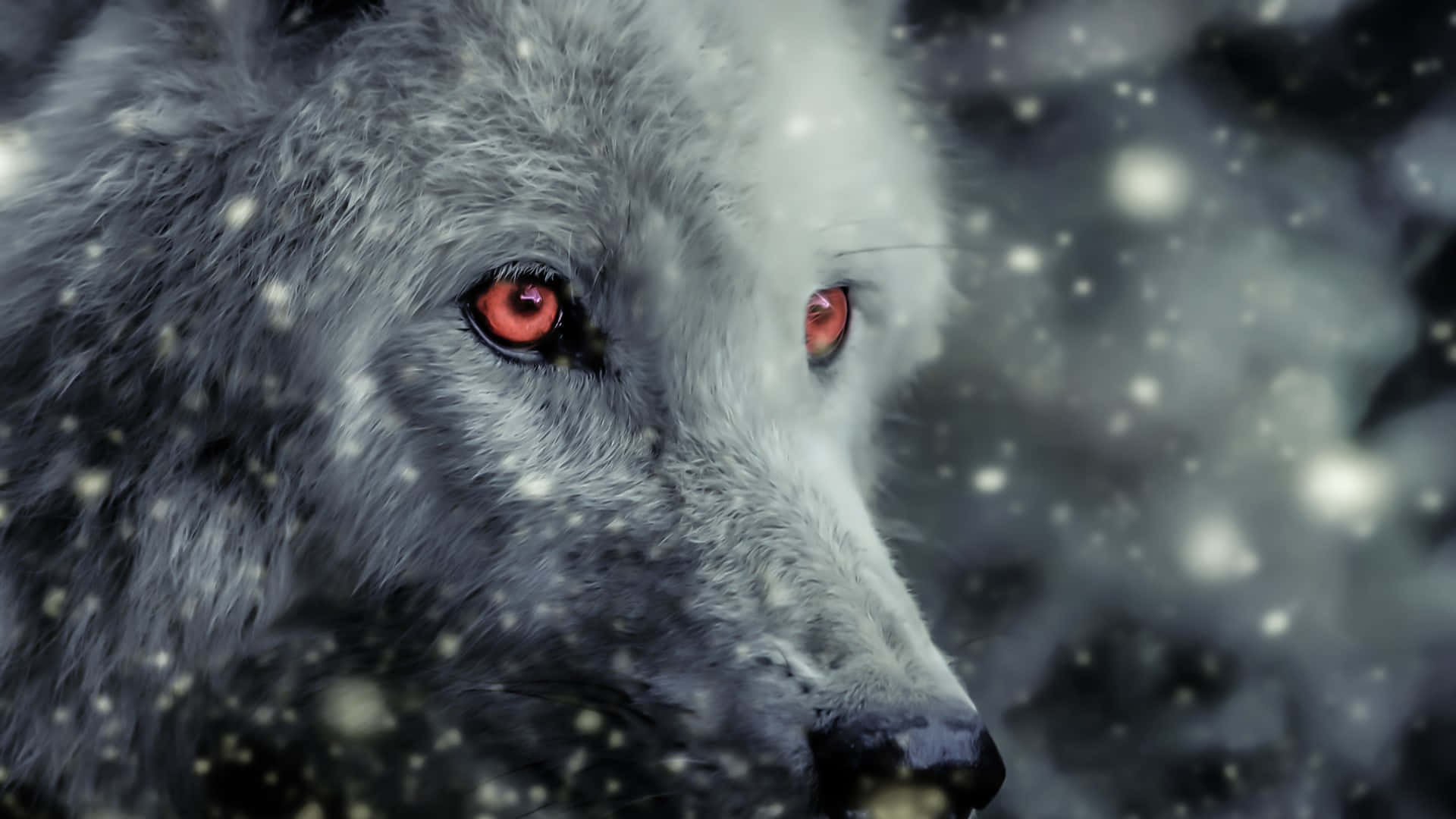 Wolf Red Eyes Wallpapers - Wallpaper Cave