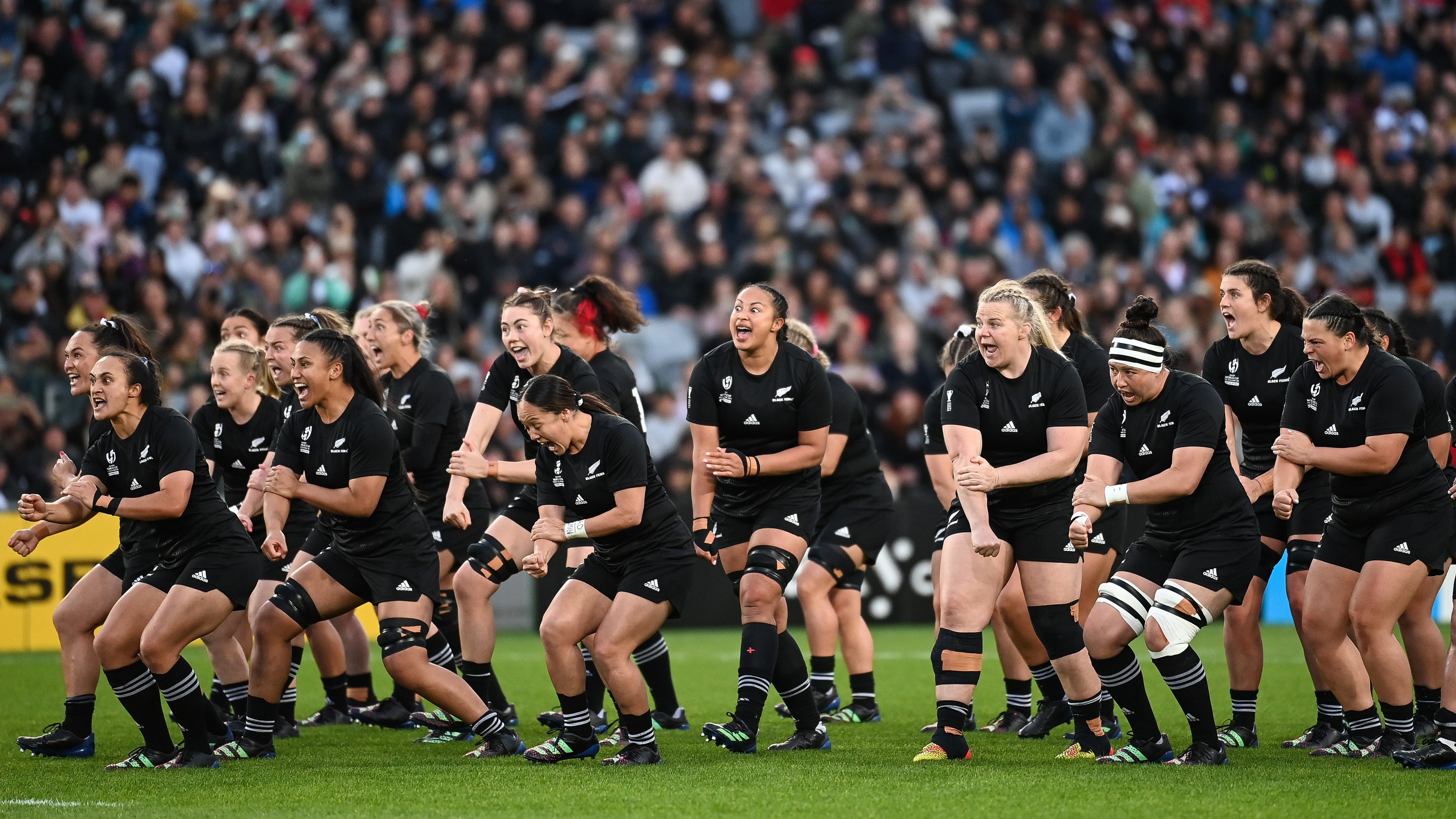 All Blacks New Zealand Wallpapers - Wallpaper Cave