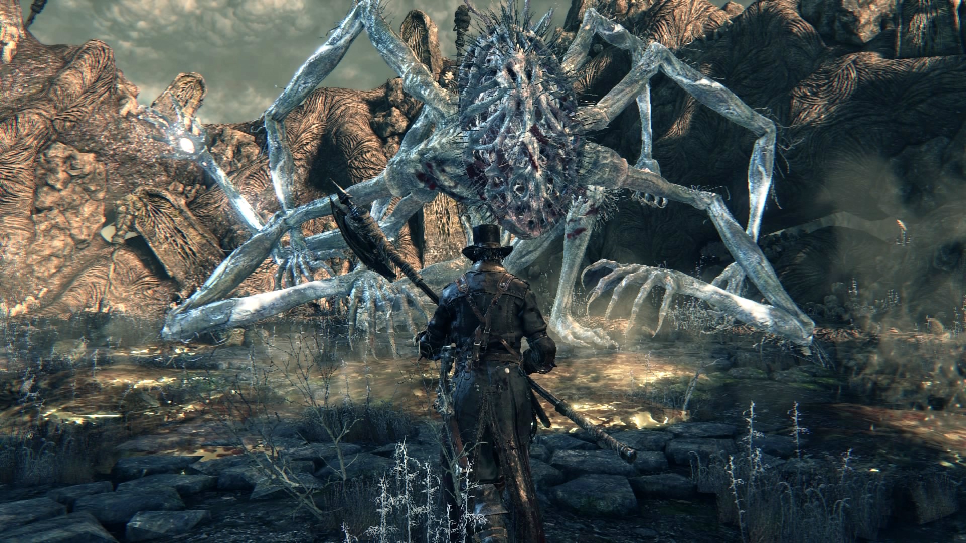 Amygdala Wallpapers - Wallpaper Cave