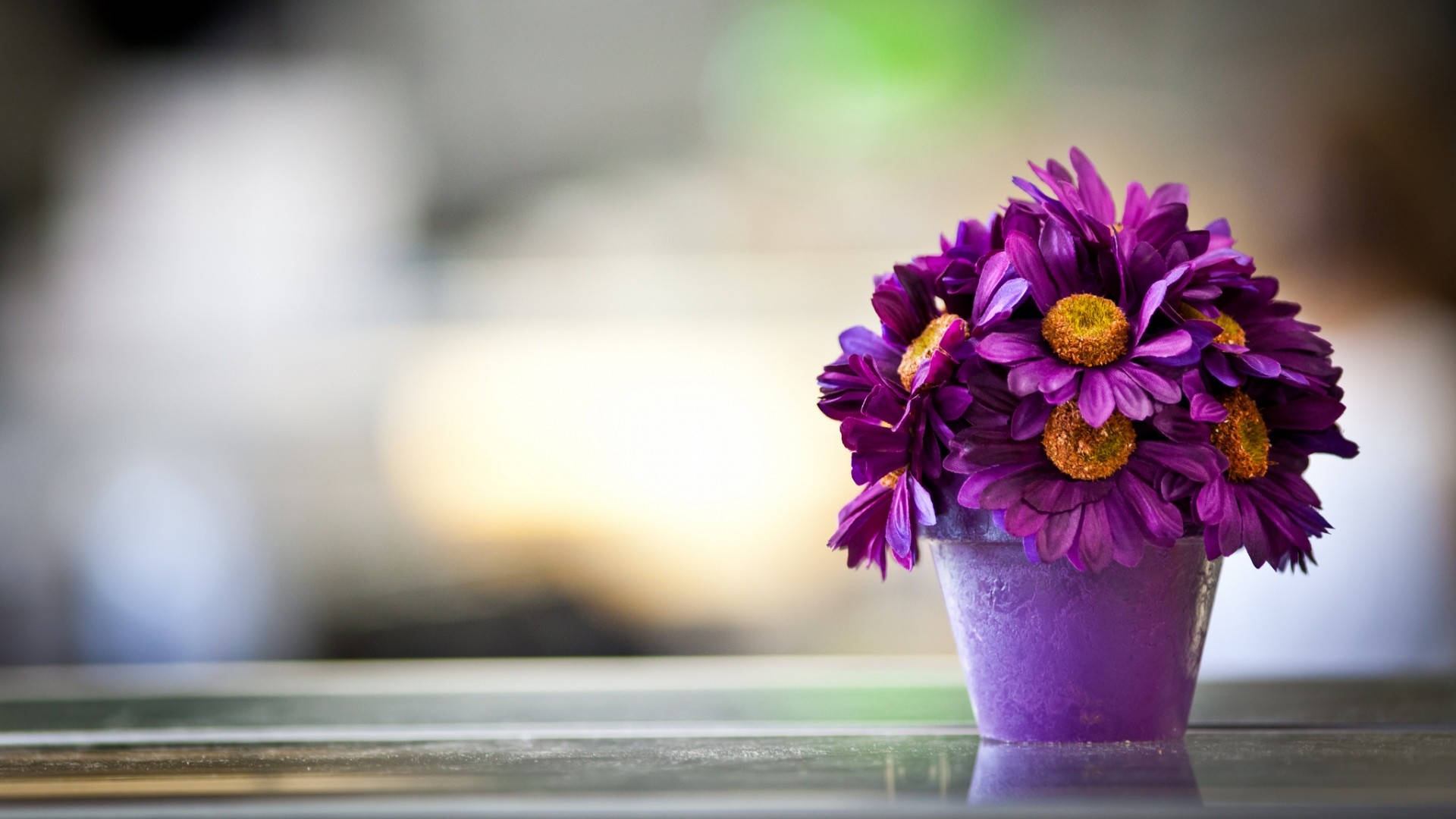 Plant Pot Wallpapers - Wallpaper Cave