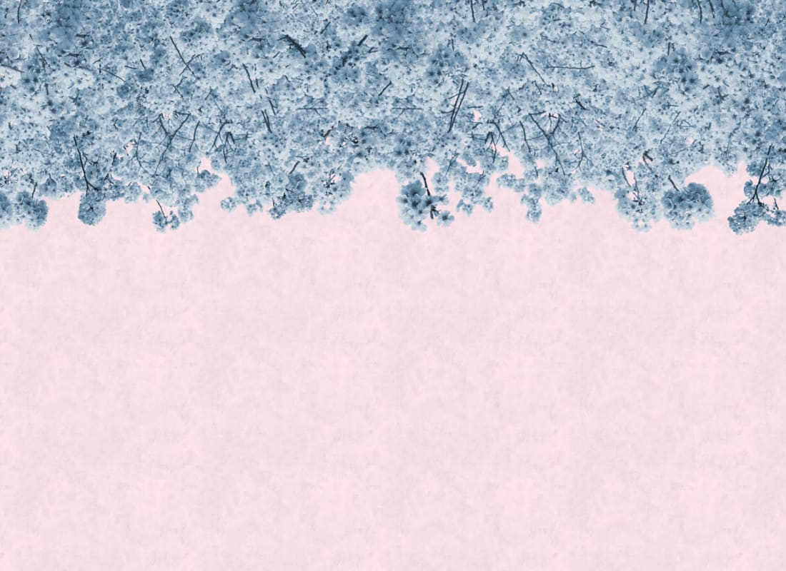 Blue Sakura Wallpapers - Wallpaper Cave