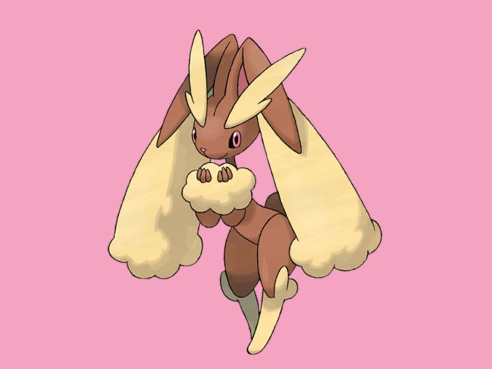 Lopunny Wallpapers - Wallpaper Cave