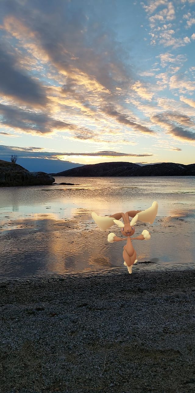 Lopunny Wallpapers - Wallpaper Cave