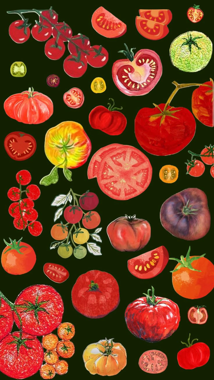 Tomato Summer Wallpapers - Wallpaper Cave
