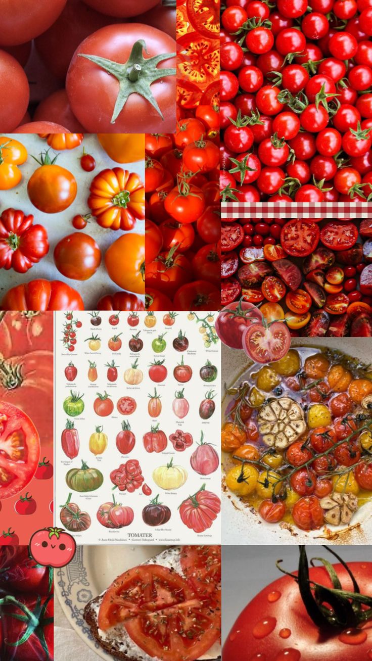 Tomato Summer Wallpapers - Wallpaper Cave